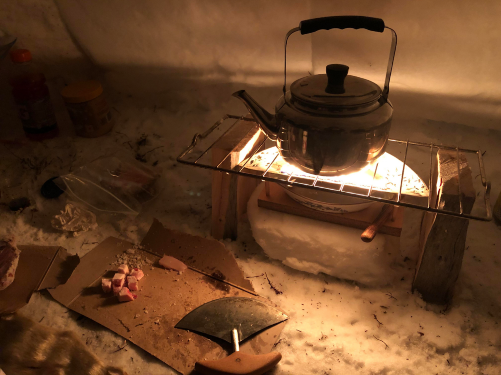 Fifteen Finalists selected for the 12th Annual Arctic Inspiration Prize ...